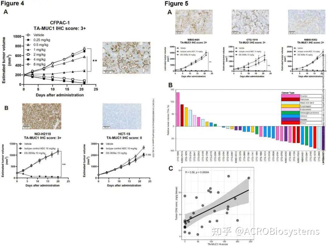 重塑ADC疗效路径：TA-MUC1让药物更准、更快、更有效 - 知乎