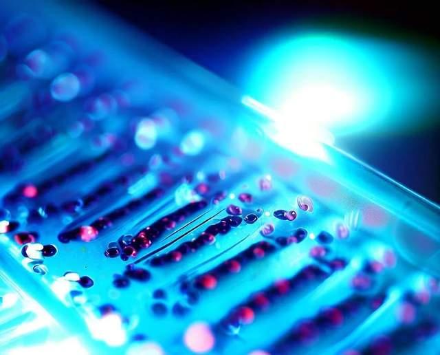 IVD技术分析｜LAM-PCR - 知乎