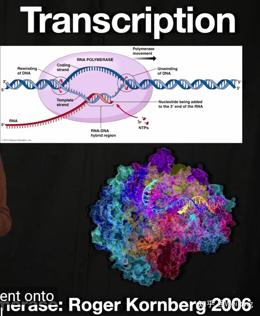 Molecular Biophysics -- Lecture 01 - 知乎