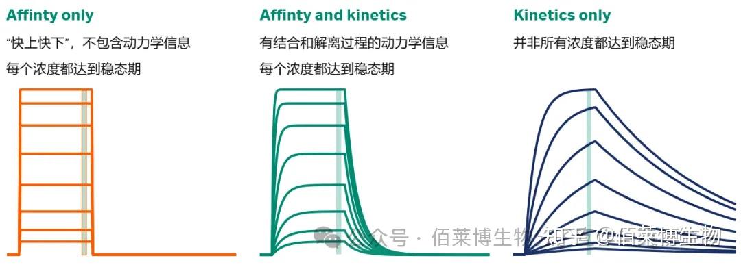 药物与蛋白亲和力检测(SPR法) 实验 - 知乎