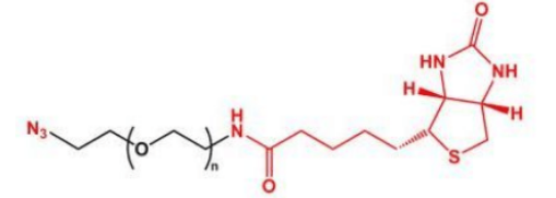 Azide-PEG-Biotin/Rhodamine B，叠氮修饰生物素/罗丹明荧光染料 - 知乎