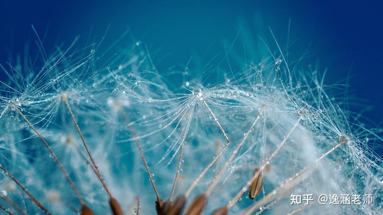 我最近一直在给我妈提供负面情绪 知乎