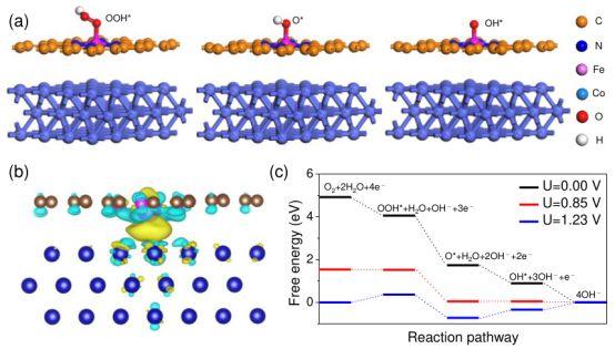 ORR常见DFT计算结果 - 知乎