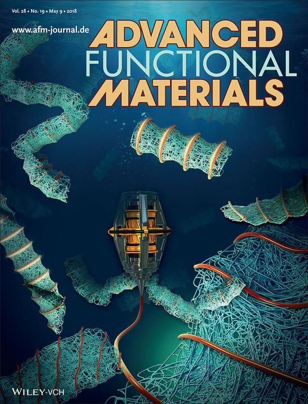 【VASP解读】 AFM：金纳米晶改性PtTeAu簇高效电化学NO3RR制氨 - 知乎