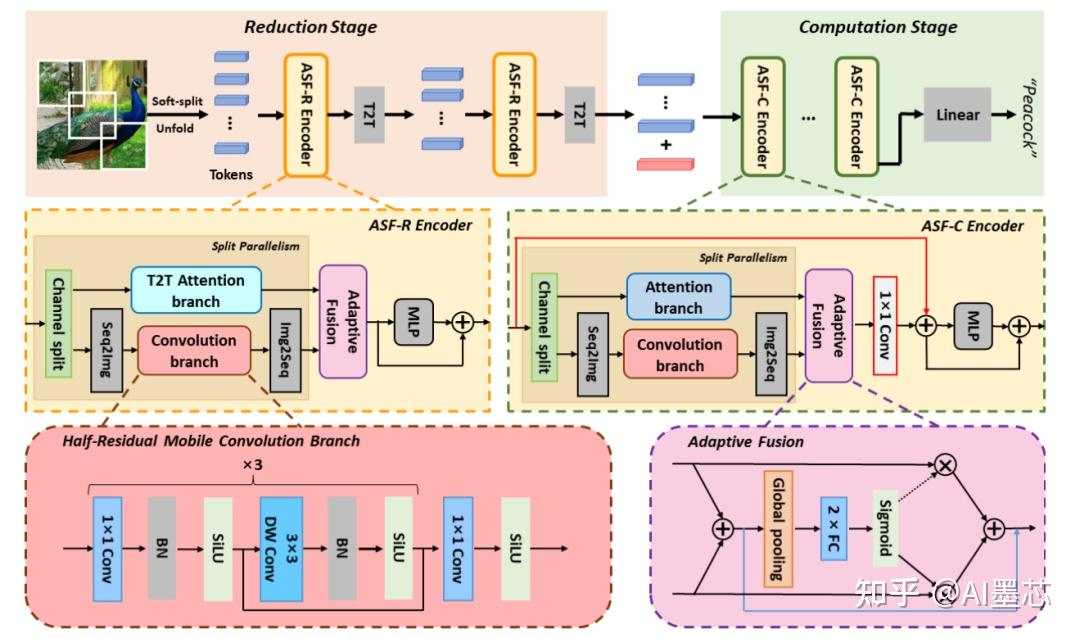入选TPAMI2025！双通道卷积神经网络新突破！ - 知乎