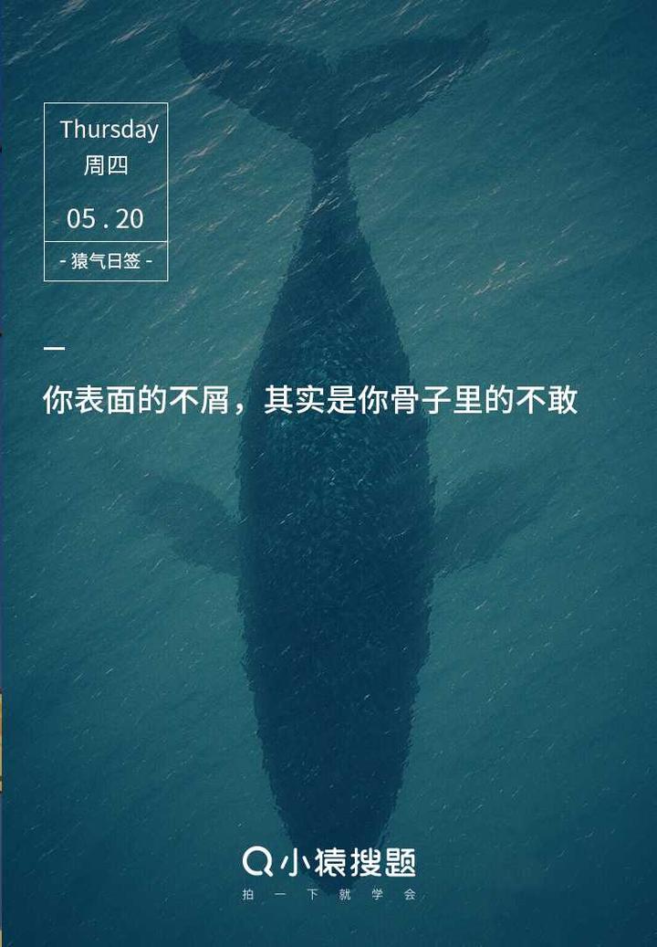 SSM 整合(Spring + MyBatis；Spring + Spring MVC) - 知乎