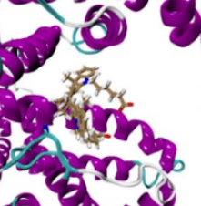 Protein A/PE，荧光素PE标记蛋白A，Cy3 Conjugated Protein A，CY3偶联蛋白A - 知乎