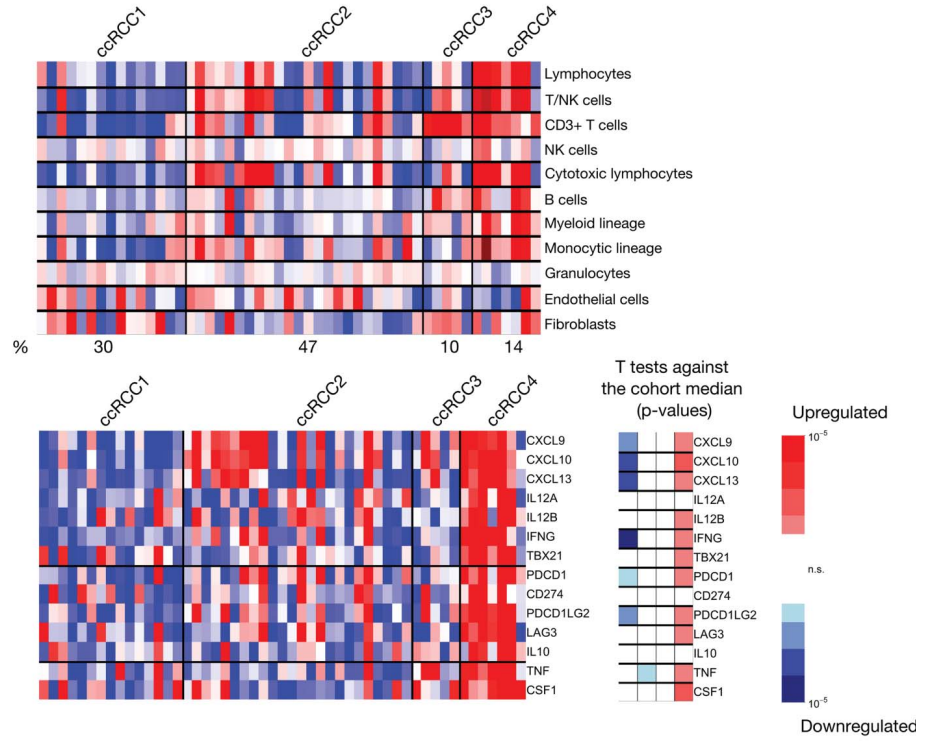 学术前沿 | 【Lancet Oncol】基于ccRCC不同分子分型选择最有效一线治疗策略具有可行性 - 知乎