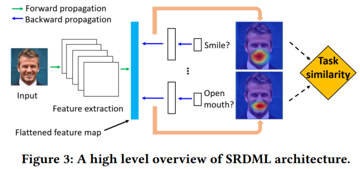 KDD'22|显着正则化深度多任务学习Saliency-Regularized Deep Multi-Task Learning - 知乎