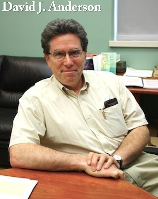 八月刊| 神经科学领域的大神们 - 知乎