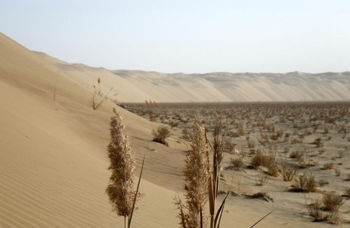 《N39°传奇》第二十五章 塔中油田指挥部（五）（文后有朗读版） - 知乎