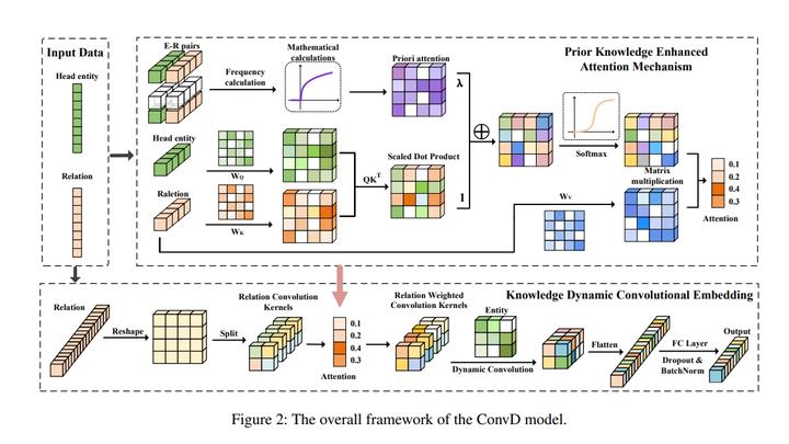 ConvD：增强注意力的动态卷积嵌入用于知识图谱补全 - 知乎