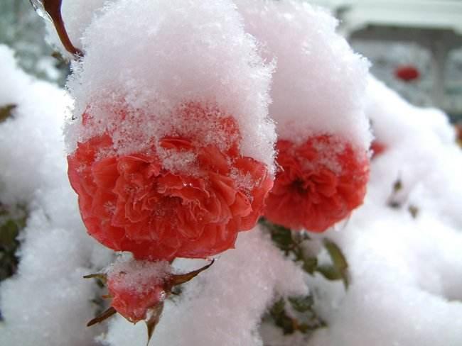 Rust 位操作(Bitwise Operations ) - 知乎