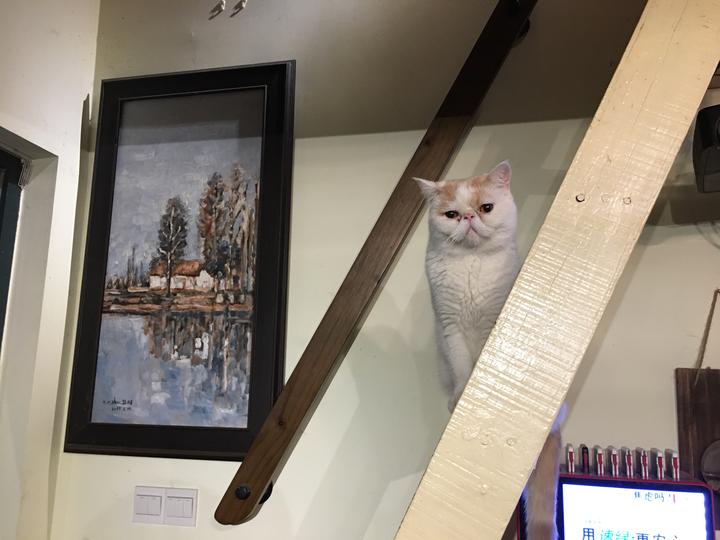 HRNet、CPNet论文笔记 - 知乎