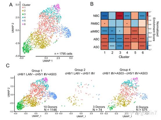 文献阅读——Long-lasting B cell convergence to distinct broadly reactive ...