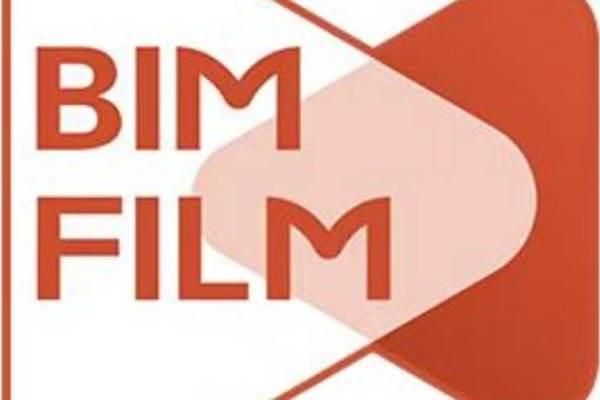 BIM施工模拟软件BIMFILM获近千万元天使轮融资，资方为青矩创投｜36氪深度 - 知乎