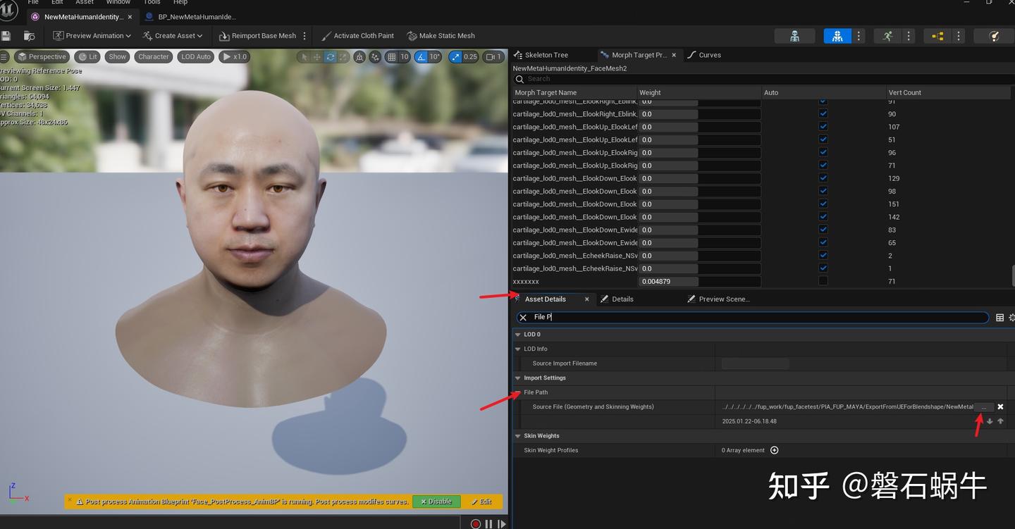Metahuman Blender 自定义角色导入UE流程记录01 - 知乎