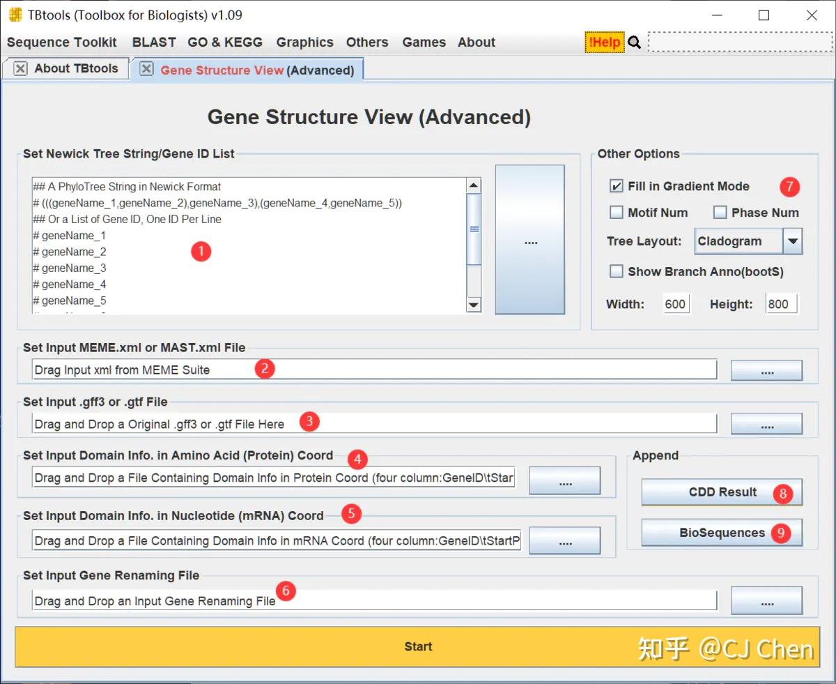 TBtools | 多图合一至强版教程！进化树 + Motifs + 结构域 + 启动子 + 基因结构 + .... - 知乎