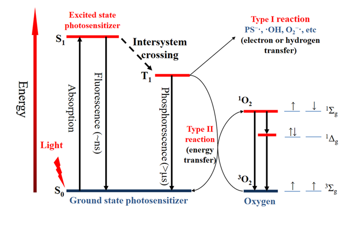 MPOC 笔记 第十六章 （2） Jablonski 图-1 - 知乎