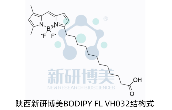 BODIPY FL C12，158757-79-0适用于活细胞和固定细胞的标记 - 知乎