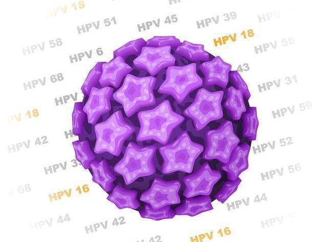 hpv6阳性一定会长疣体吗 - 知乎