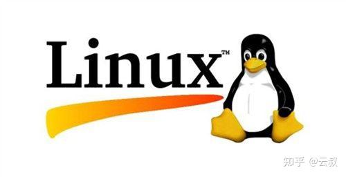 linux上有什么好用的视频播放器？ - 知乎