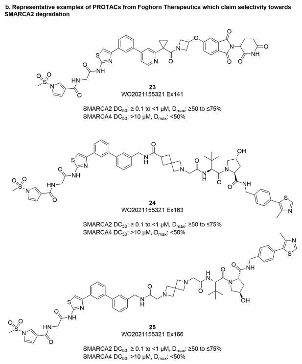 合成致死靶点SMARCA2的ATP 酶抑制剂的研究进展及专利分析 - 知乎