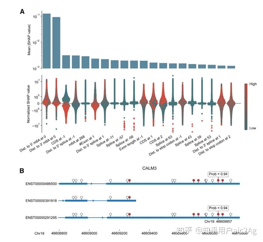 【基预科技】Transformer-BiGRU：用于哺乳动物m6A位点预测的组合深度学习框架 - 知乎