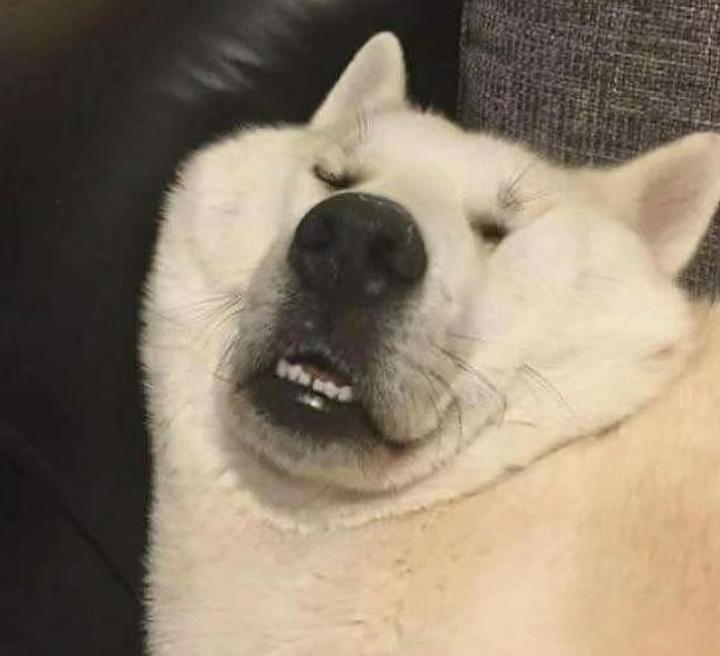 读《睡眠革命》 - 知乎