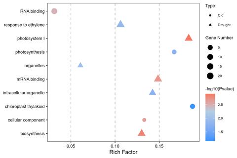 R语言绘图 | 两组或多组GO/KEGG富集结果气泡图 - 知乎