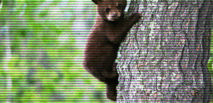 加密层的抽象，适用于消费者和企业客户人口统计：Zurp - 知乎