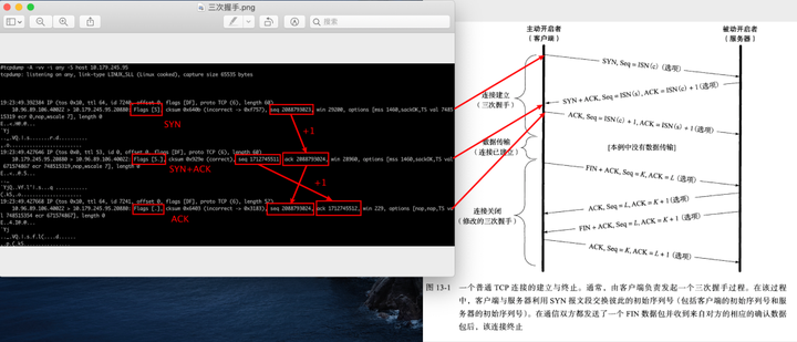 4个实验，彻底搞懂tcp连接的断开 知乎