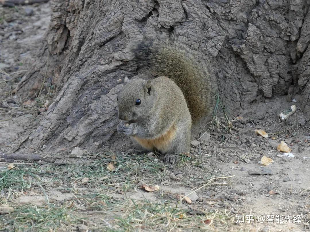 松下G97是一款紧凑型M4/3中端相机 - 知乎
