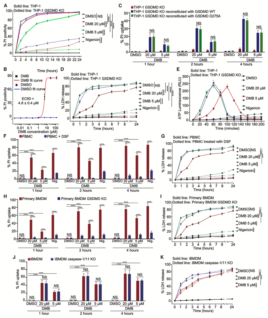 Cell丨GSDMD新型激动剂可不裂解GSDMD直接发挥抗肿瘤效果，且无毒性 - 知乎