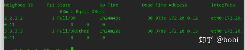 docker运行frr模拟路由器，实现路由 - 知乎