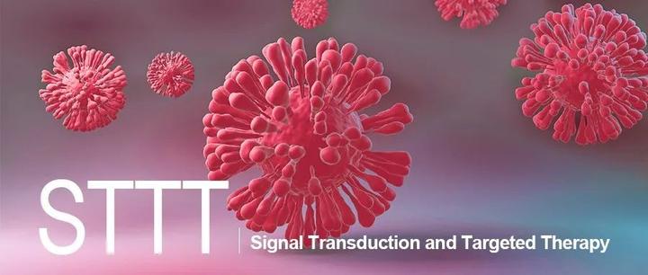 STTT重磅！国研中心/深圳市三院张政/许刚团队功能多组学分析揭示SARS-CoV-2与宿主的互作机制 - 知乎