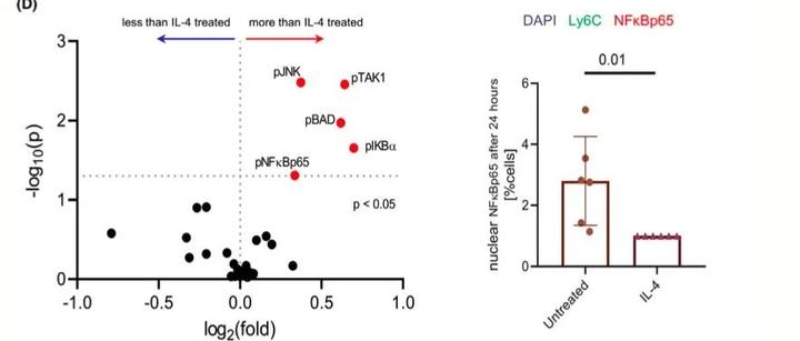 FASEB丨探索IL-4α在单核细胞中的作用 - 知乎
