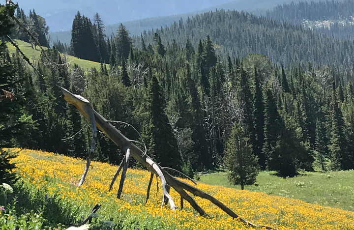 Quality Matters (QM) 第六版高等教育在线课程设计标准 - 知乎