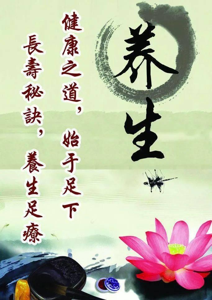 健康健康的定义是什么 知乎