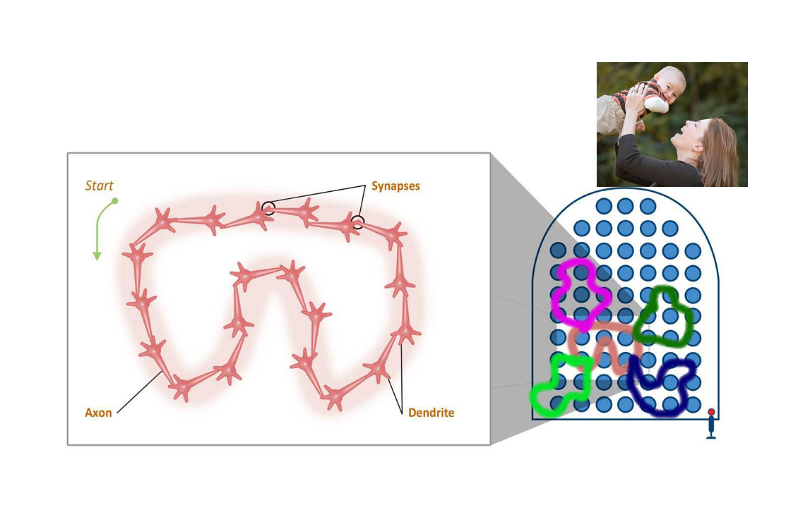 《Learning How to Learn》课程笔记 - 知乎