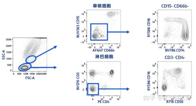 新鲜出炉~BD Horizon RealYellow TM 586光谱优化激光特异性荧光染料！ - 知乎