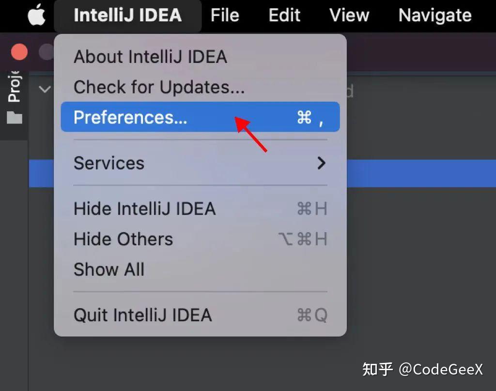 CodeGeeX for Jetbrains IDEs正式上线！ - 知乎