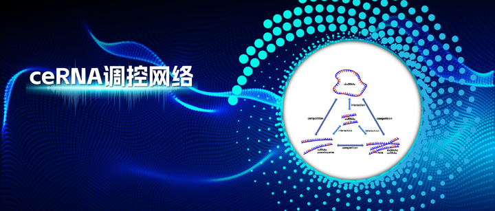 转录后调控研究利器——全转录组ceRNA网络-助力高分文章 - 知乎