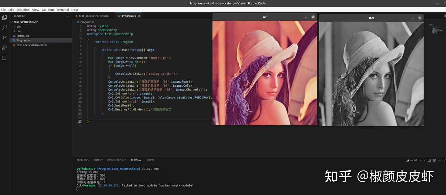 【OpenCV】在Linux上使用OpenCvSharp - 知乎