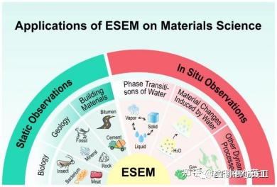 【深度讨论】环境扫描电镜ESEM技术与应用综述 - 知乎