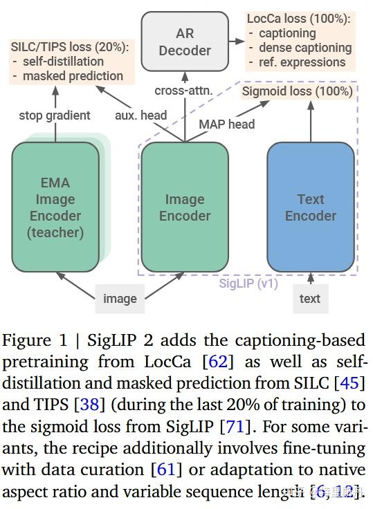 添加各种trick训练出来的SigLIP2 - 知乎