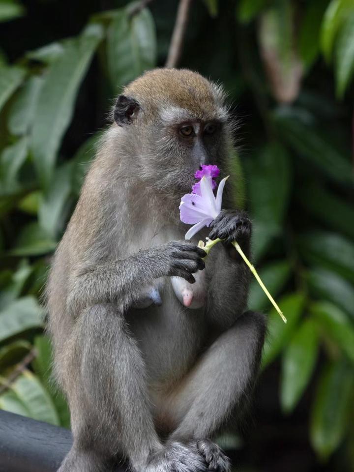 ELQ: 高效的一次性端到端实体链接的问题 - 知乎