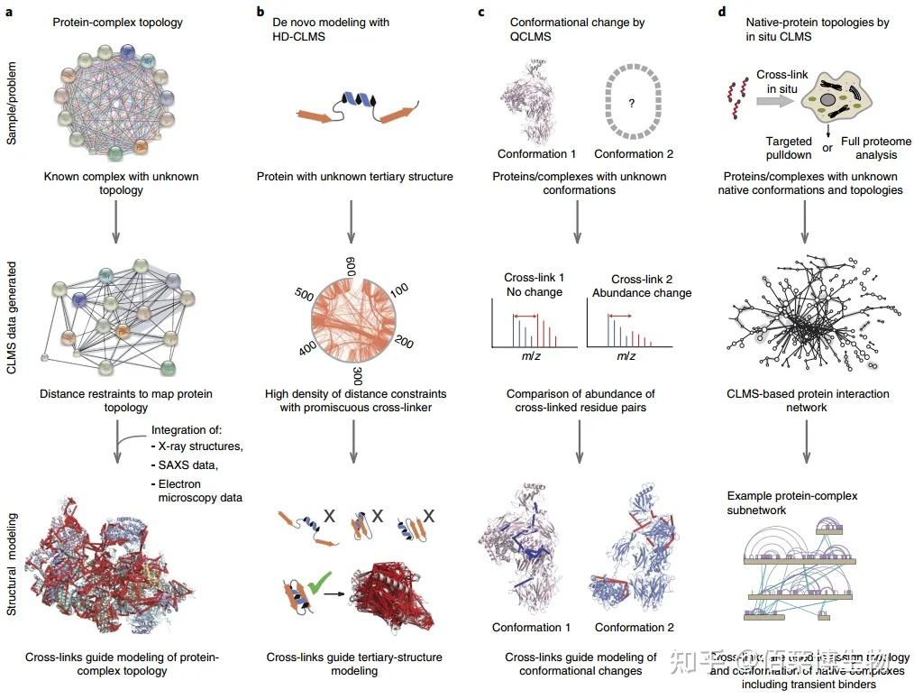 蛋白相互作用检测：交联质谱（XL-MS）实验技术 - 知乎
