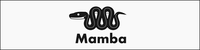 配置mamba-ssm环境的乱七八糟的可能有用的操作 - 知乎