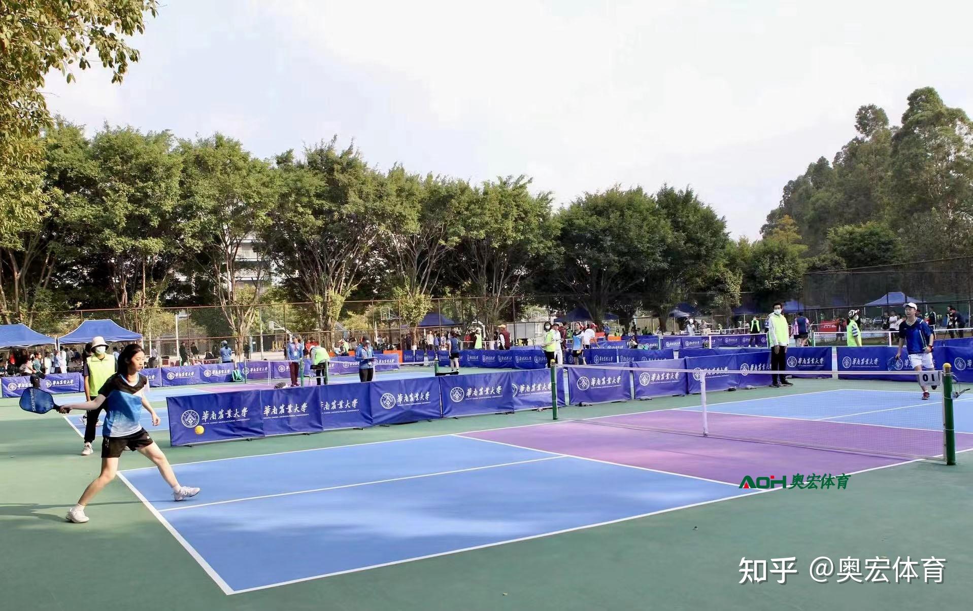 匹克球场地尺寸图和羽毛球一样吗？一文读懂 - 知乎